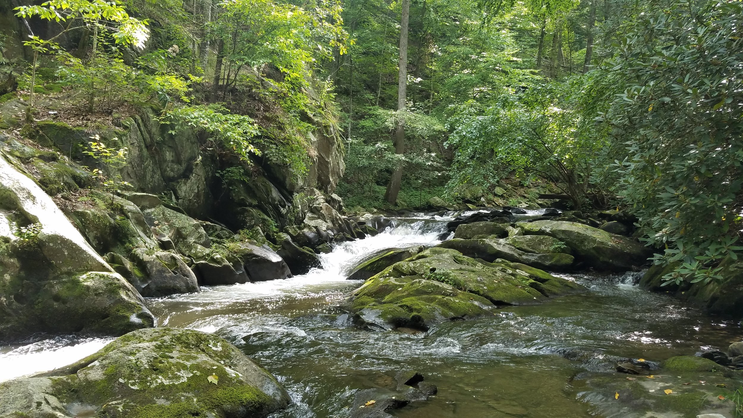 Golf Courses - Tennessee Overhill